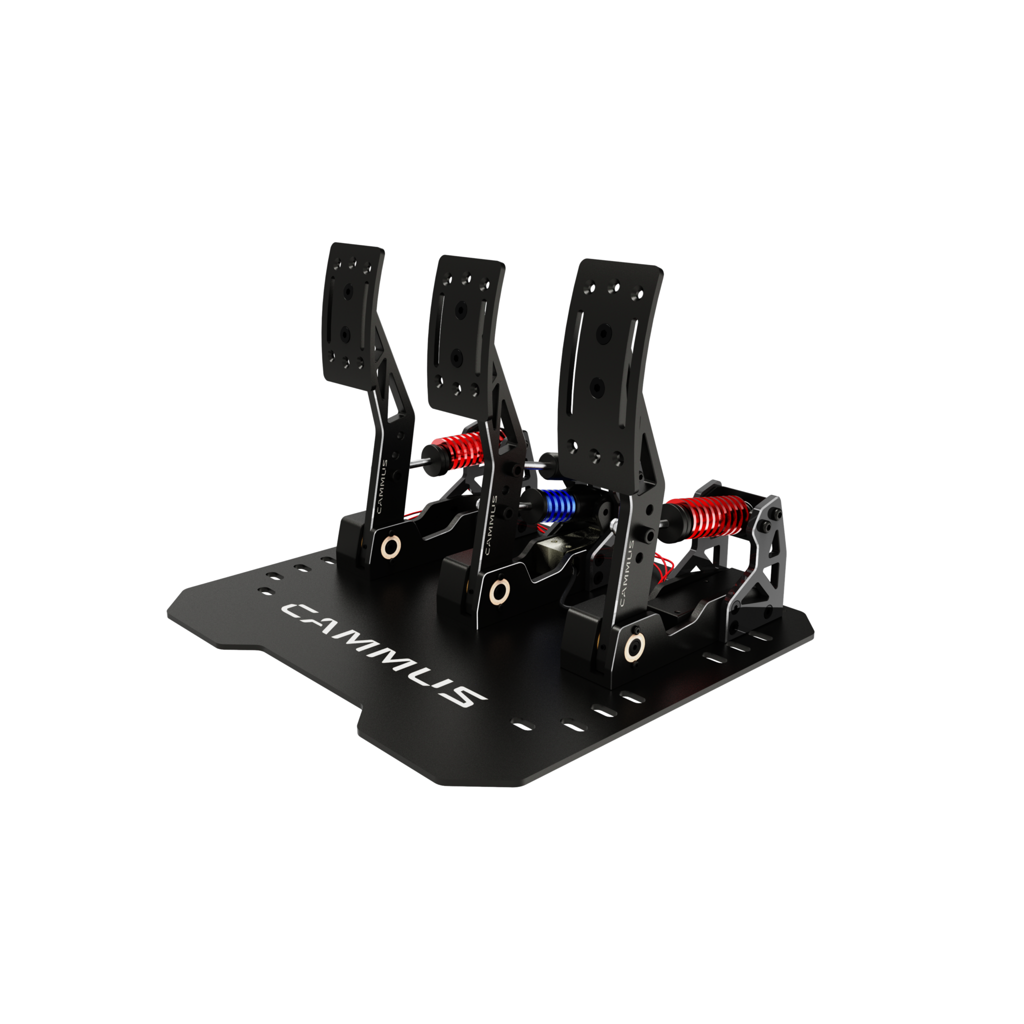 Downloads - CAMMUS Racing Simulator